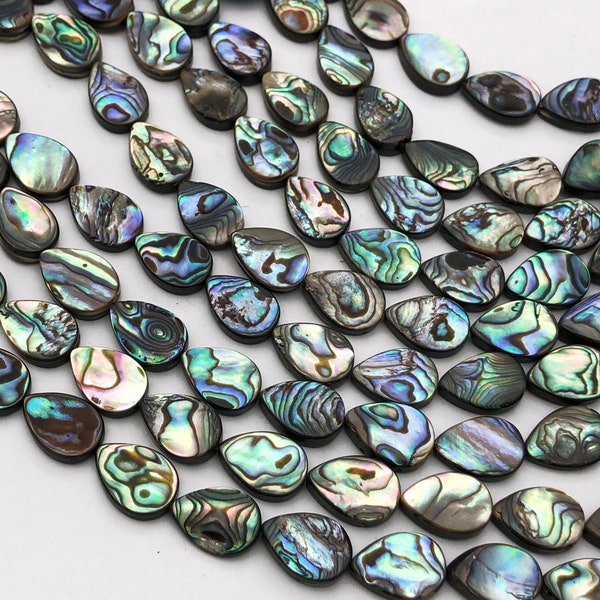 Shell Beads - Etsy