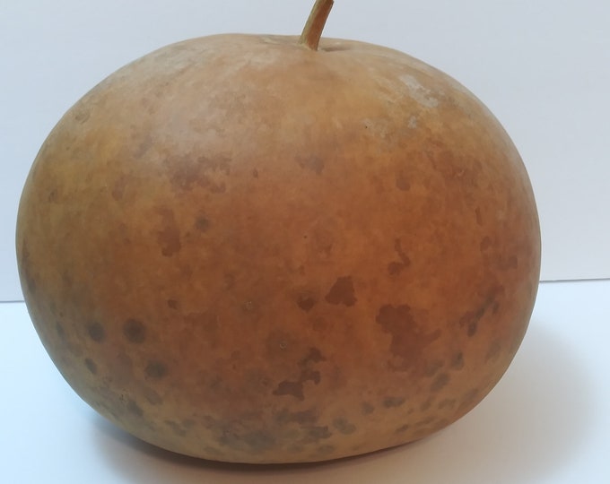 Gourds,bushel Gourds,natural Gourds,large Gourds,gourd Birdhouse,gourd ...