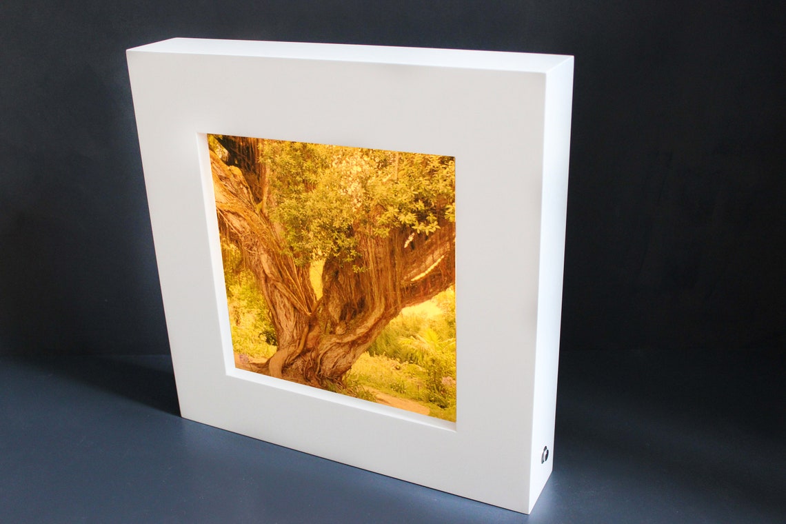Lightbox trees Iii Handmade Lacquered Wood - Etsy Ireland