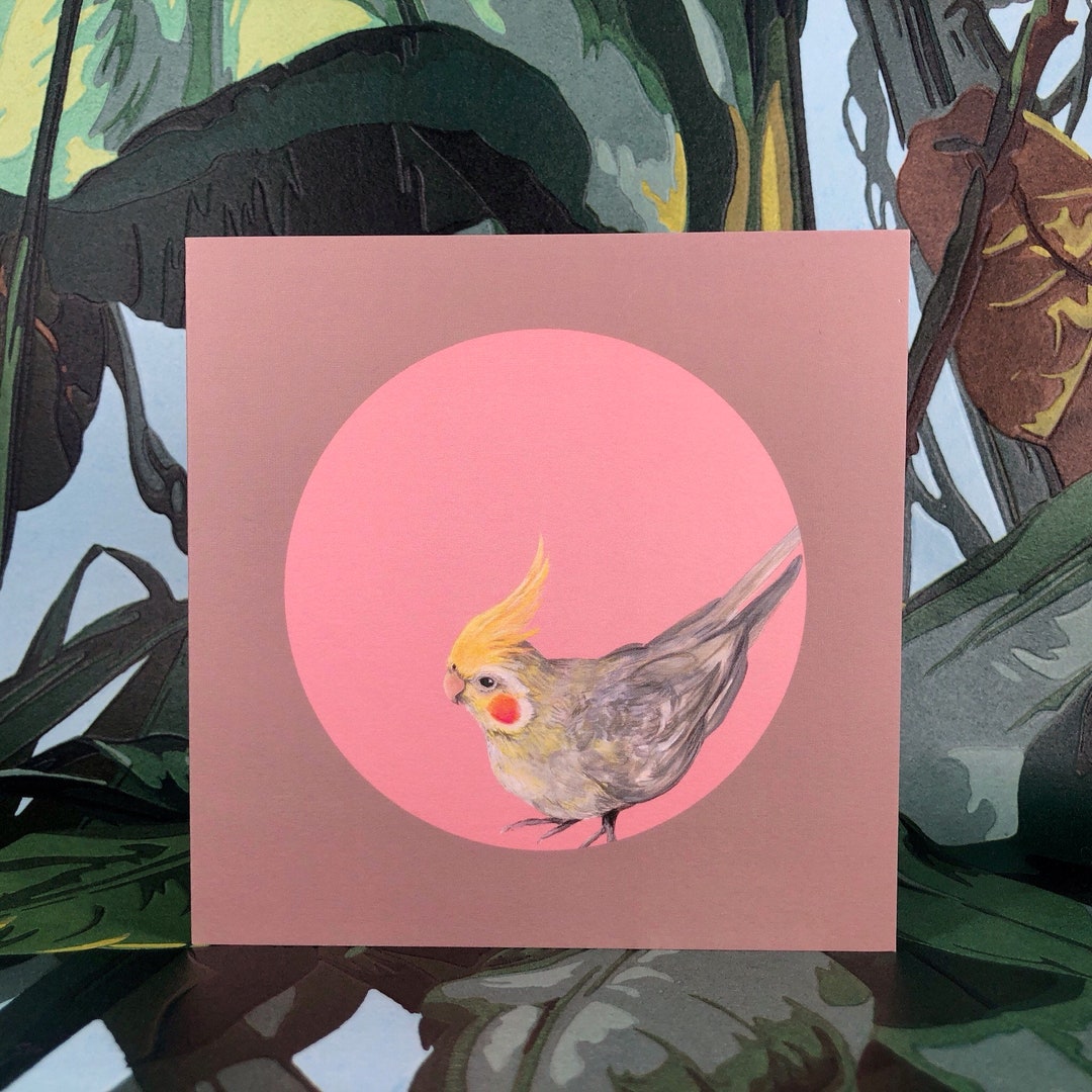 Cockatiel Square Art Card Printed Inside Out, Blank Inside, From ...