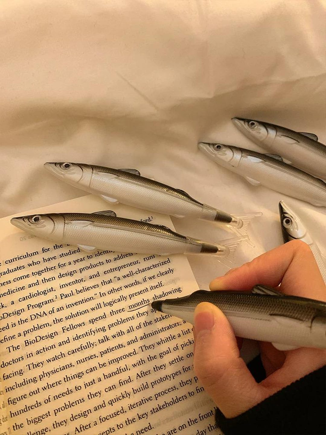 Whimsical Sardine Ballpoint Pens - Set of 5, Black Ink, Refillable, 0 ...