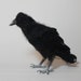 Needle Felted Crow, Black Crow Sculpture, Felt Bird Art Gift - Etsy