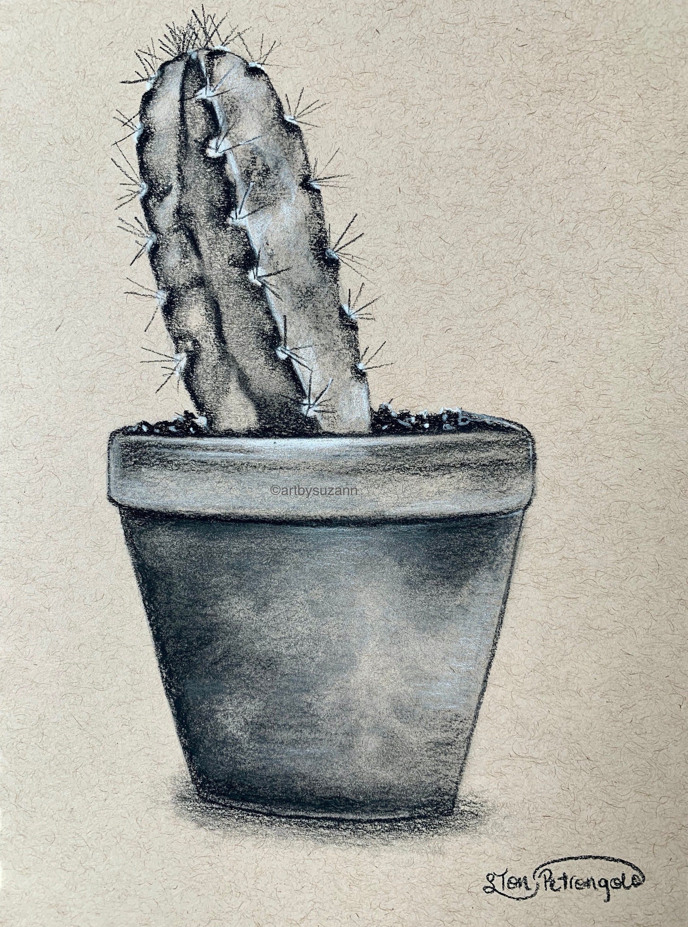 Pencil Drawing Cactus