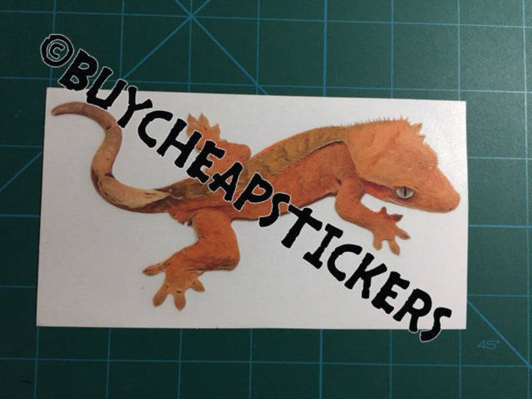 Crested Gecko Decal/sticker 3X5 - Etsy