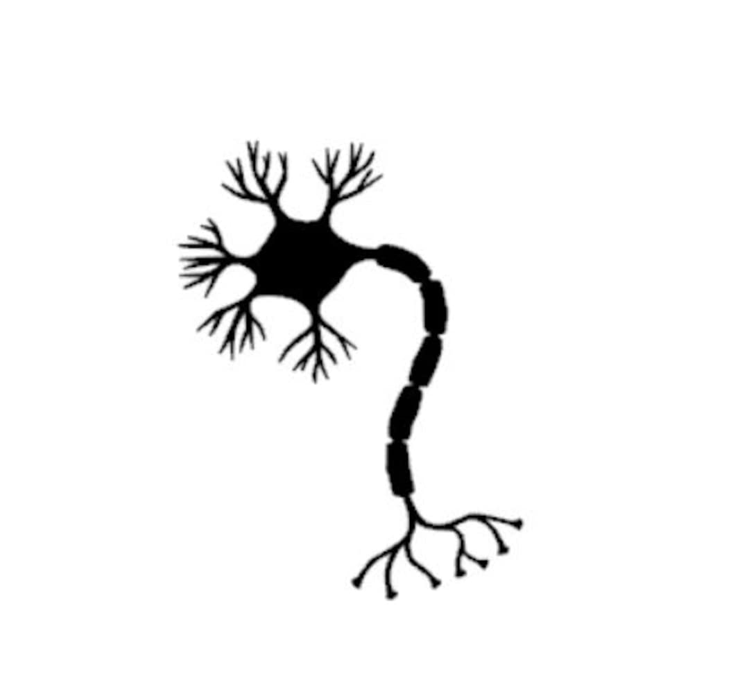 Neuron Decal/sticker - Etsy