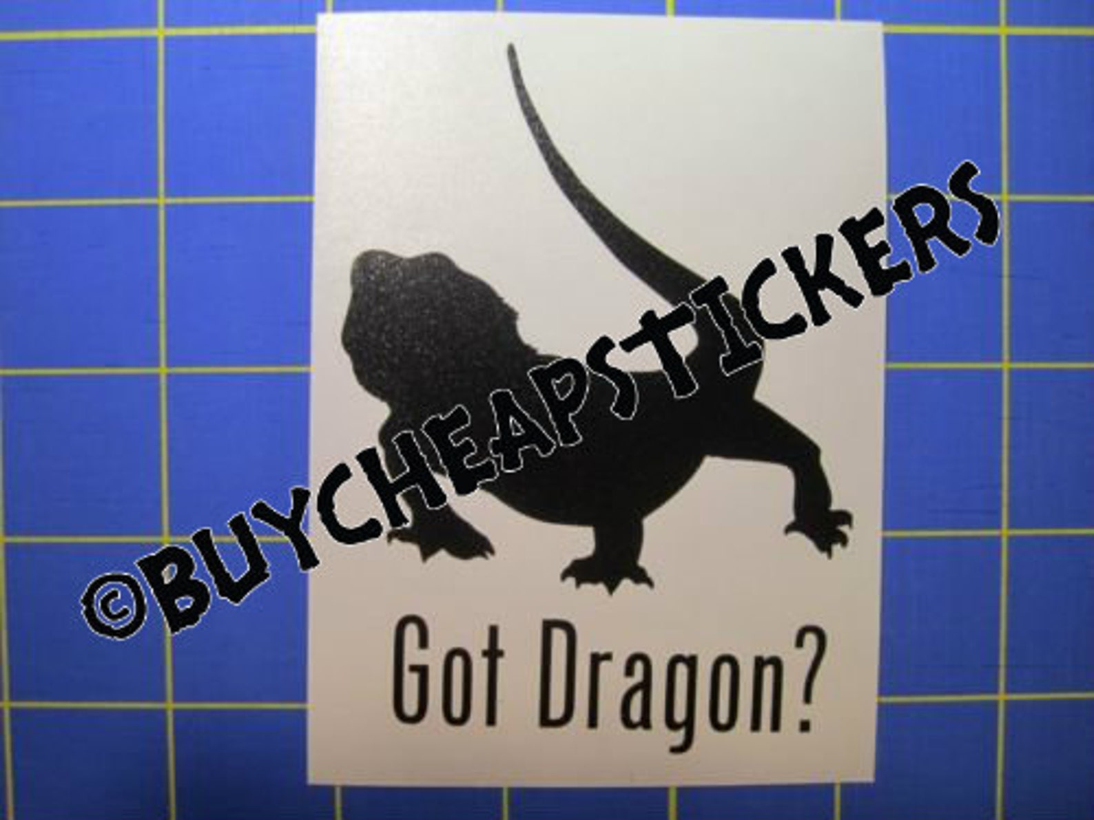 Bearded Dragon Decal/Sticker Got Dragon 3X4 | Etsy