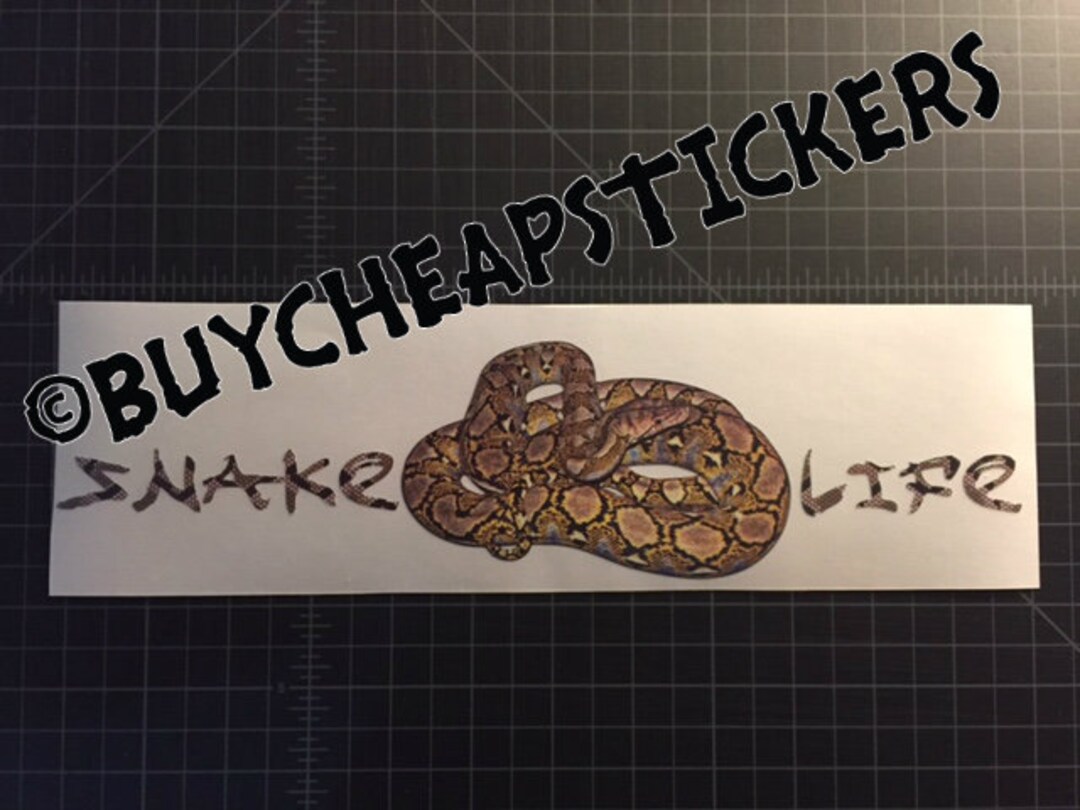 Snake Life Decal/sticker Reticulated Python - Retic 13x4 - Etsy
