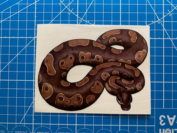 Ball Python Decal 4x5 - Etsy