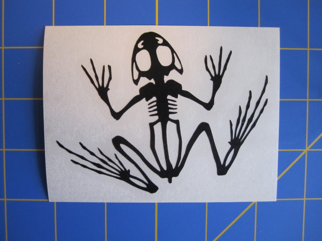 Skeleton Frog Decal #2- Sticker 3x4 Any Color - Etsy