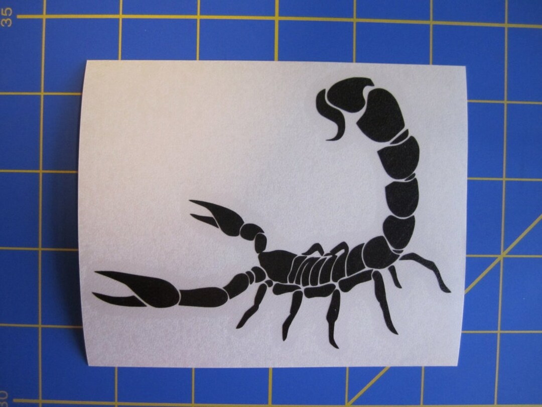 Scorpion Decal - Sticker 4x3 Any Color - Etsy