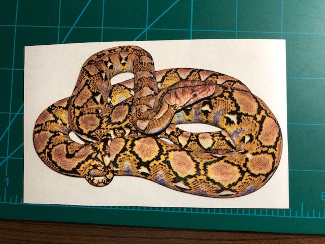 Python réticulé Retic Snake Decal/Sticker 3.5x5 - Etsy France
