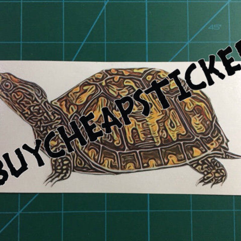 Box Turtle - Etsy