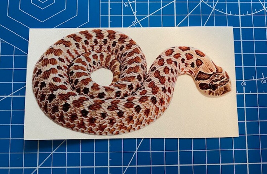 Hognose Snake Decal/sticker 3x6 - Etsy