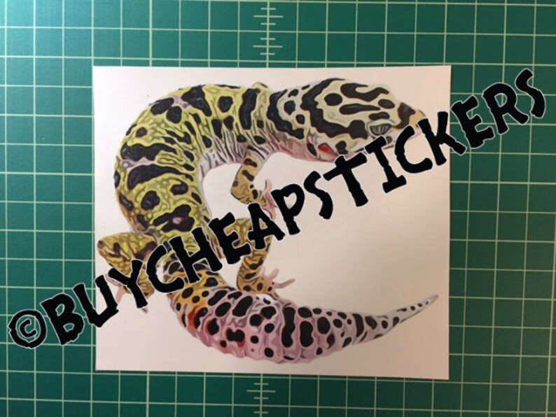 Leopard Gecko Decal/sticker 5X5 - Etsy