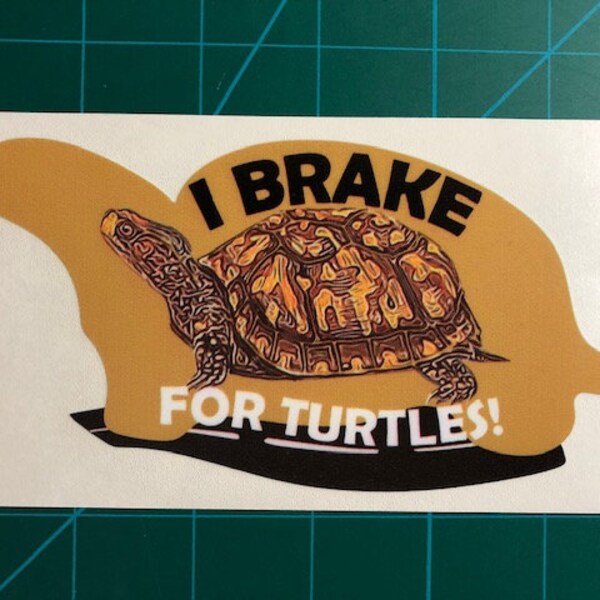 Turtle Decal - Etsy
