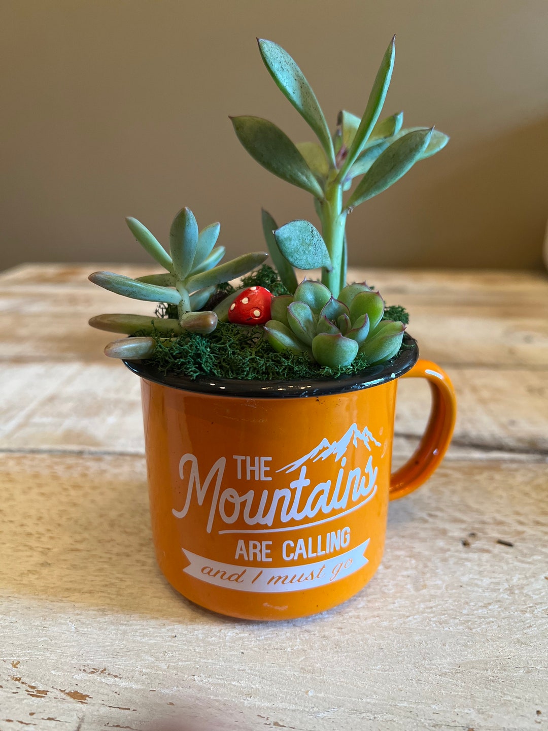 Coffee Mug & Tea Cup Planter/succulent Planter - Etsy