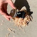 5X Magnifying Glass Fire Starter With Char Cloth - Etsy
