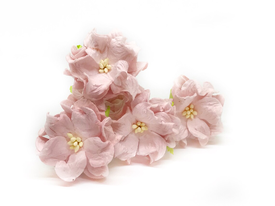 Blush Pink Paper Flowers Mulberry Paper Flowers Paper - Etsy