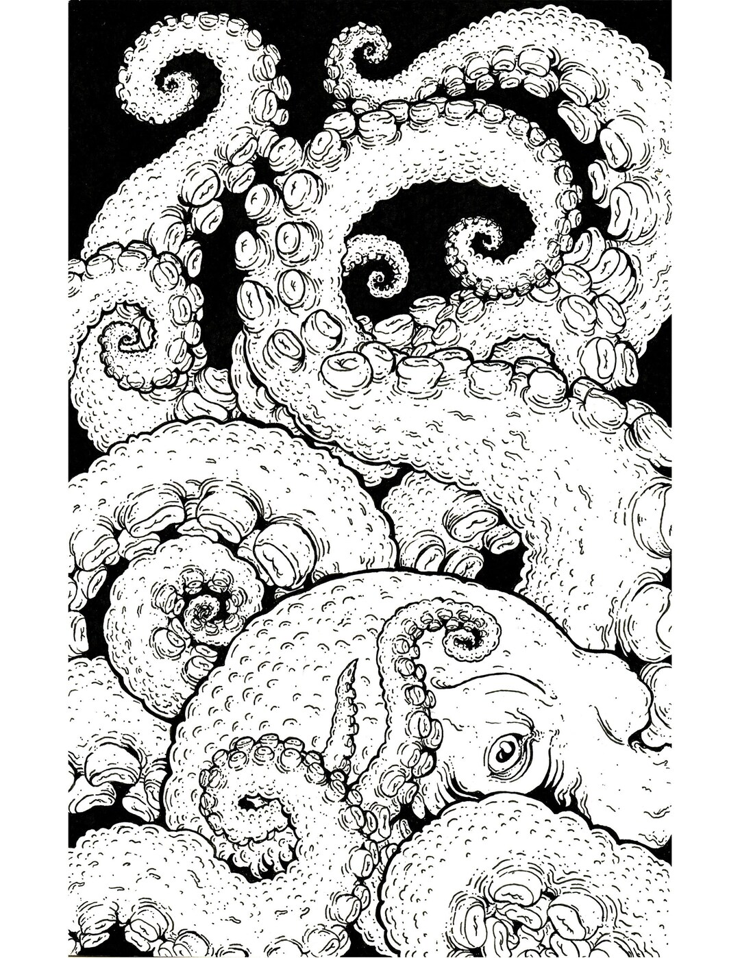 Original Octopus Pen Drawing - Etsy