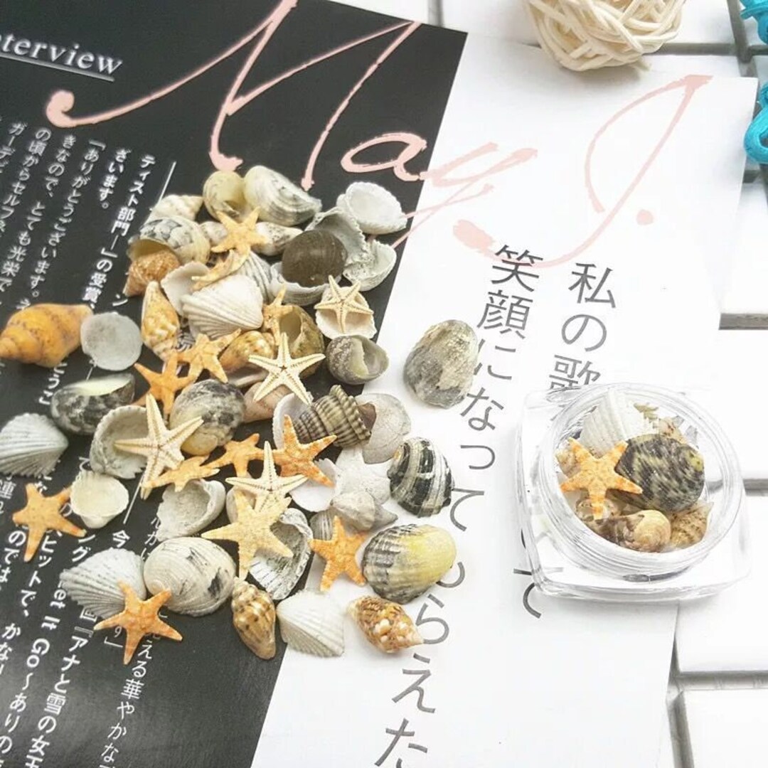 1jar Nail Art Shell Trumpet Conch Starfish Shell Small Shell Set BJ57 ...