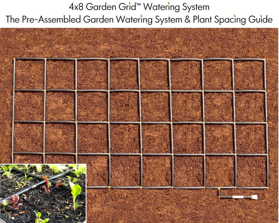 4x8 Vegetable Garden Layout