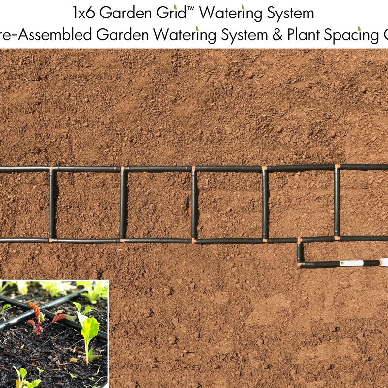 GardenInMinutes - Etsy