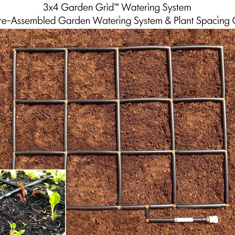 GardenInMinutes - Etsy