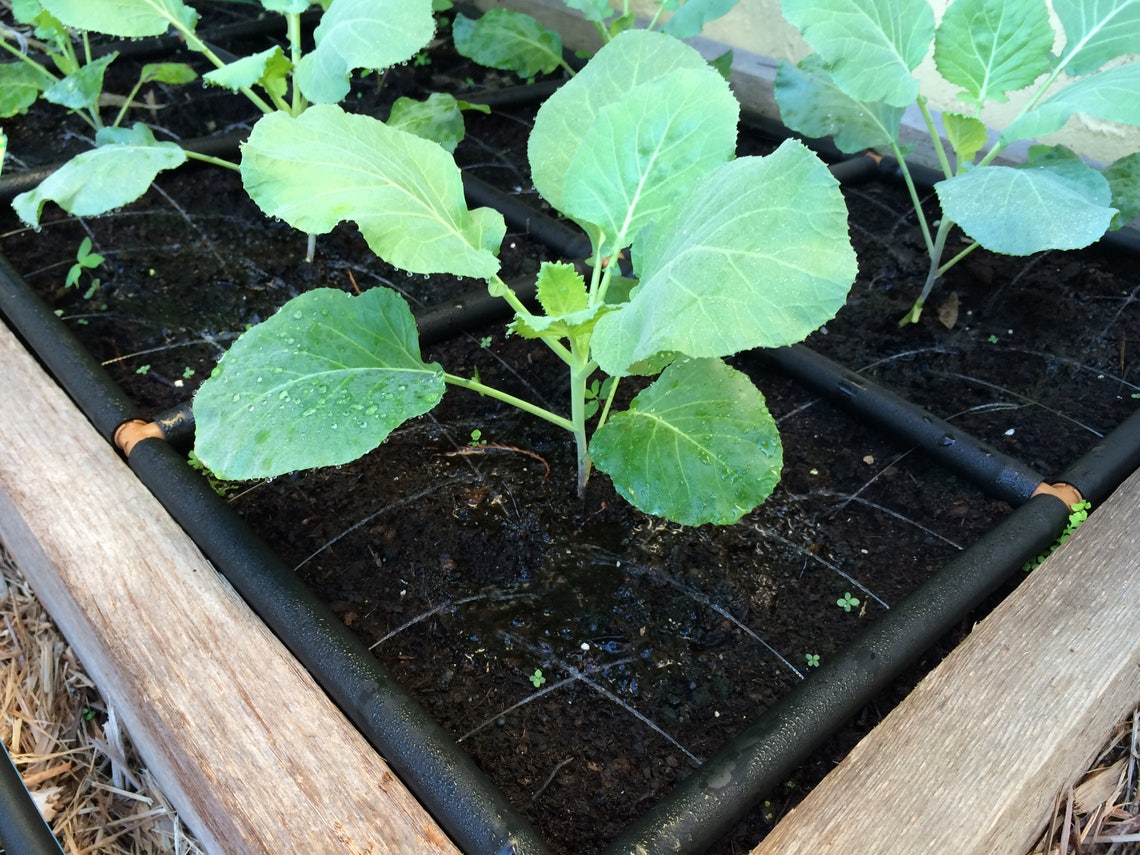 3x3 Garden Grid™ Watering System Preassembled Garden | Etsy