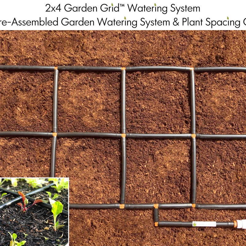 GardenInMinutes - Etsy