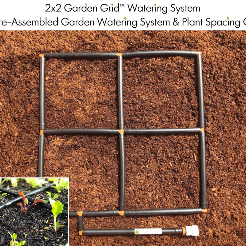 GardenInMinutes - Etsy