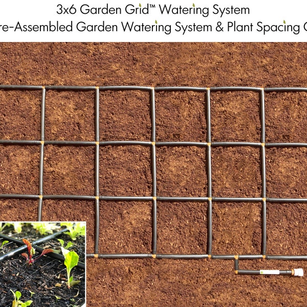 Garden Grid 3x6 - Etsy