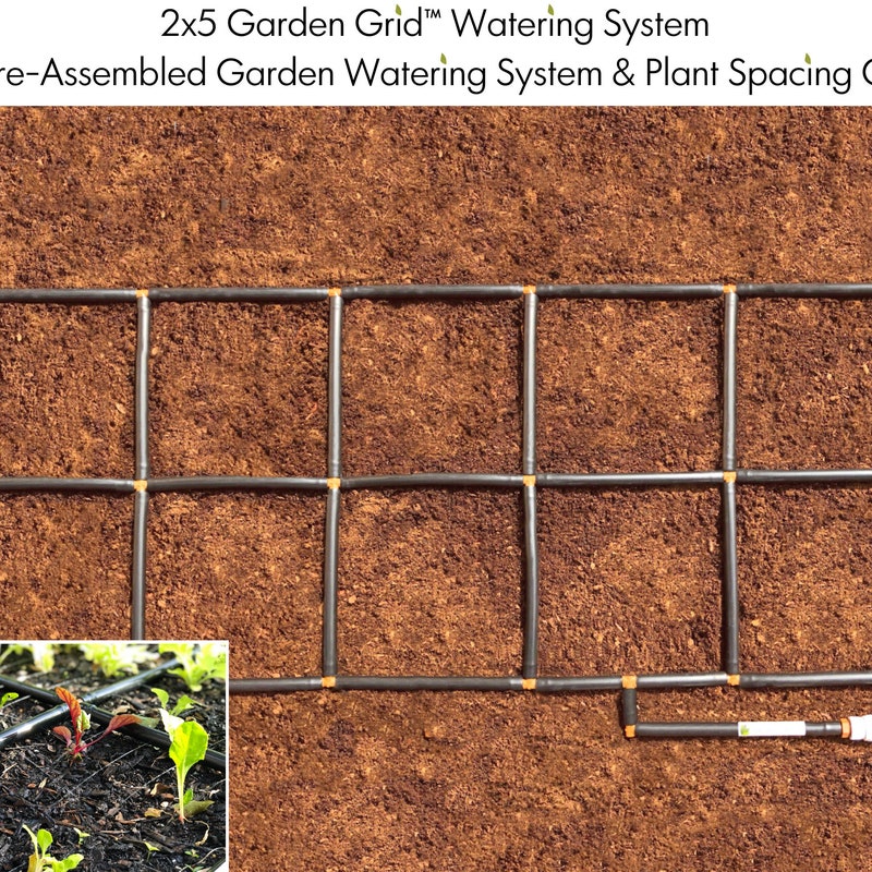 GardenInMinutes - Etsy