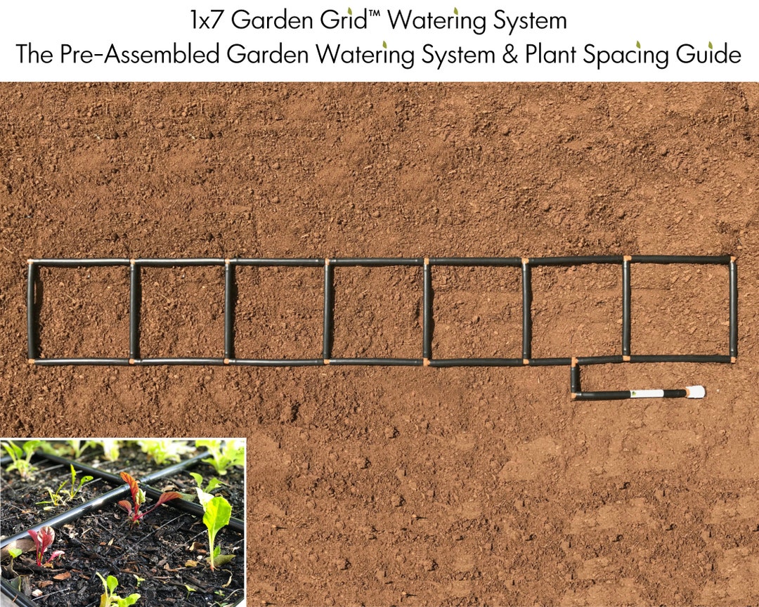 1x7 Garden Grid™ Watering System Garden Irrigation System and Planting ...