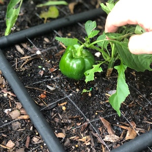 1x7 Garden Grid™ watering system Garden Irrigation System | Etsy