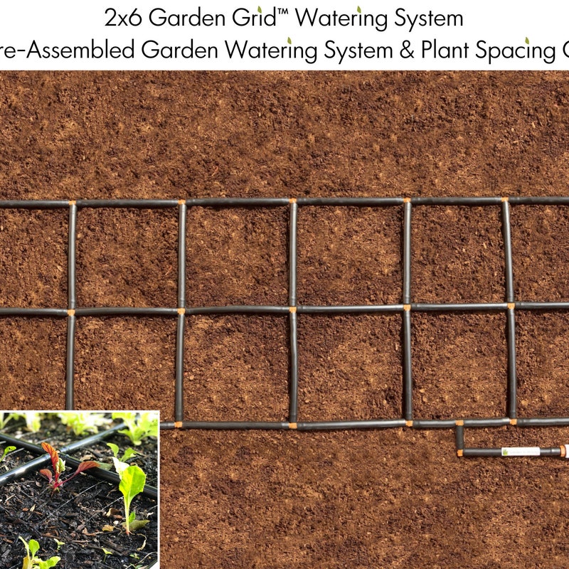 GardenInMinutes - Etsy