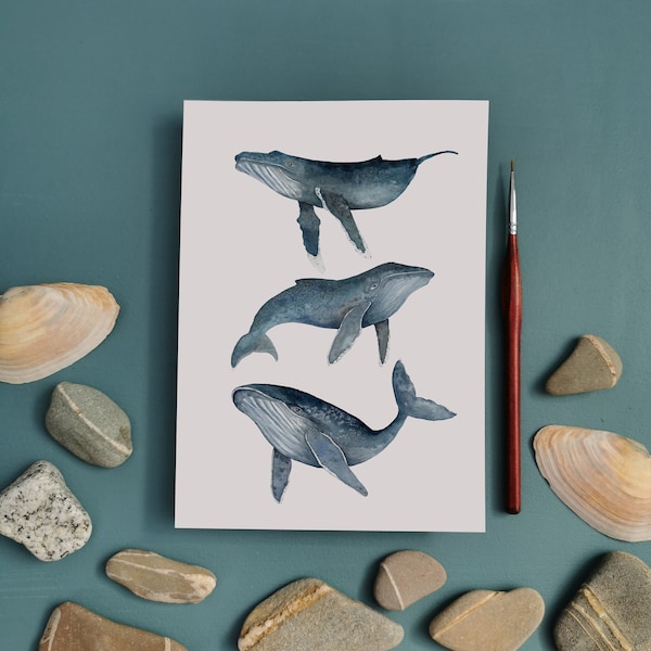 Humpback Whale Art - Etsy