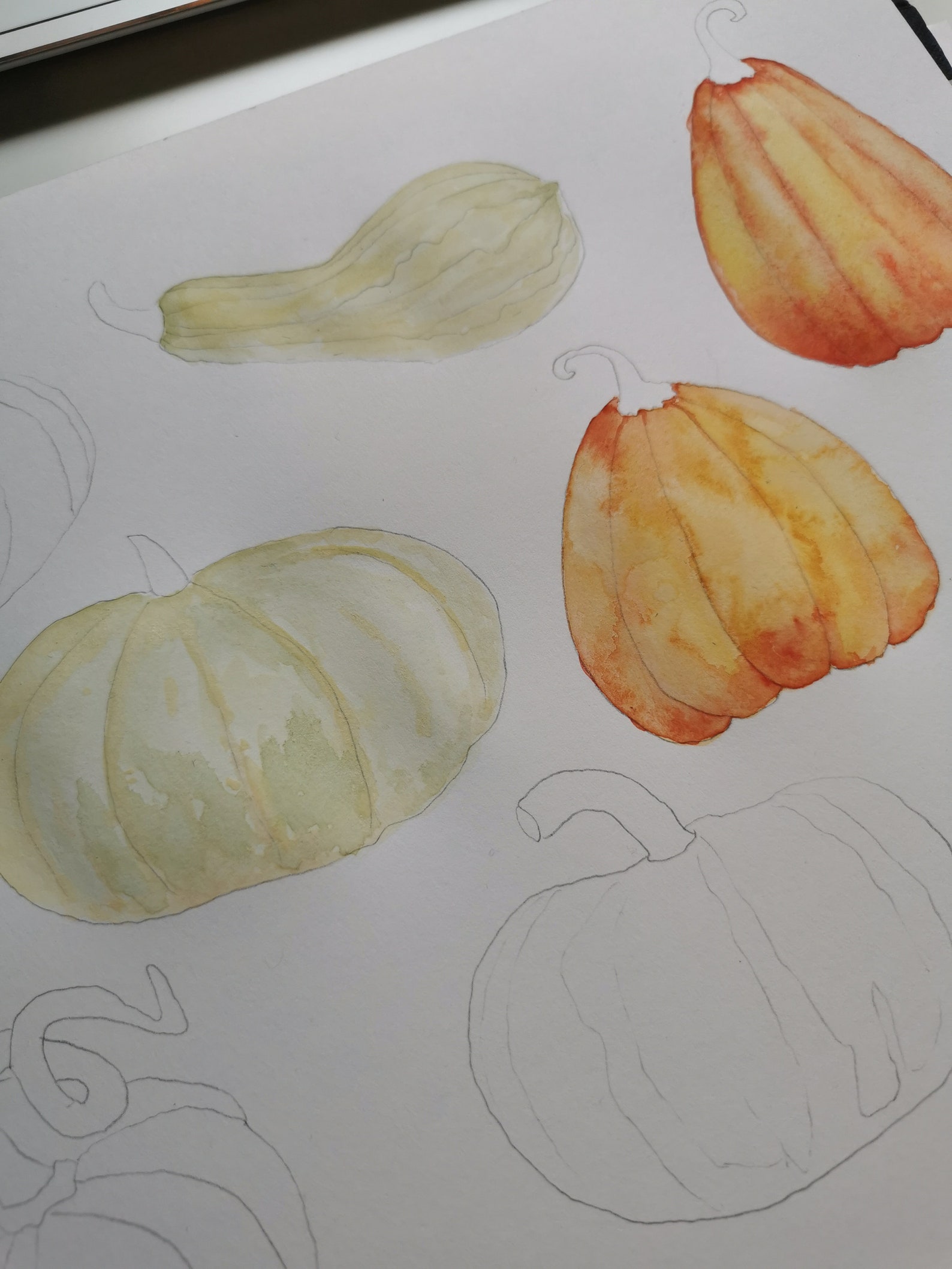 Autumn Squash Print Thanksgiving Art Fall Home Decor - Etsy