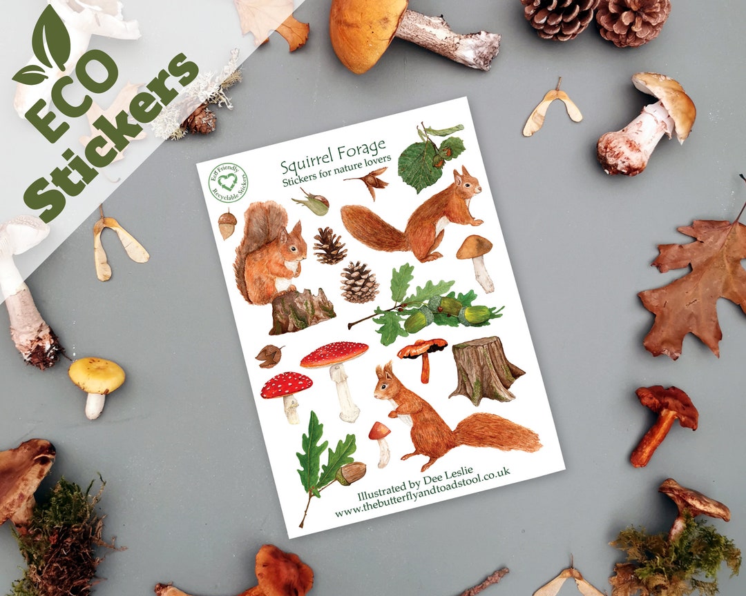 Red Squirrel Sticker Sheet, Squirrel Stickers, Journal Stickers ...