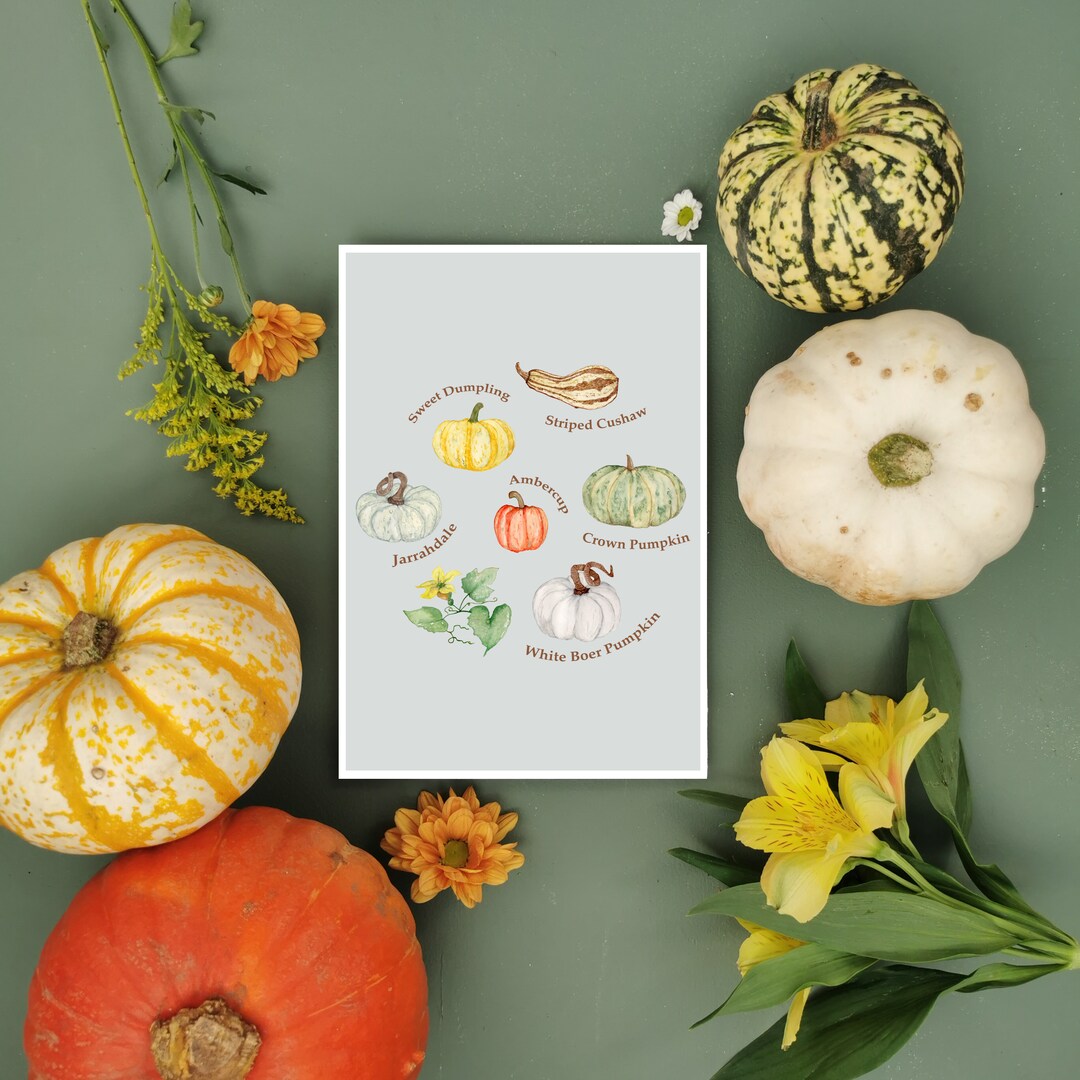 Autumn Squash Print Thanksgiving Art Fall Home Decor - Etsy