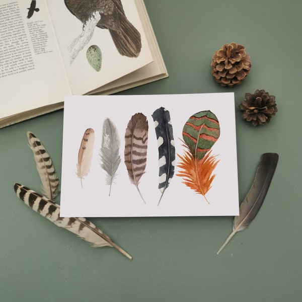 Feather Study - Etsy