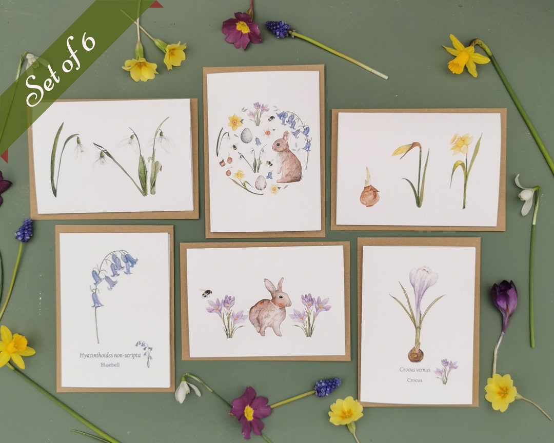 Set of 6 A6 Greetings Cards, Spring Illustrated Greetings Card, Blank ...