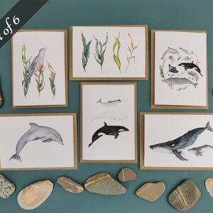 Pack of 6 Greetings Card, Marine Mammal Cards, Whale Illustrations ...