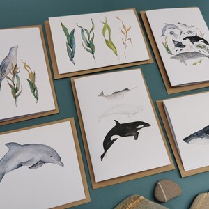 Pack of 6 Greetings Card, Marine Mammal Cards, Whale Illustrations ...