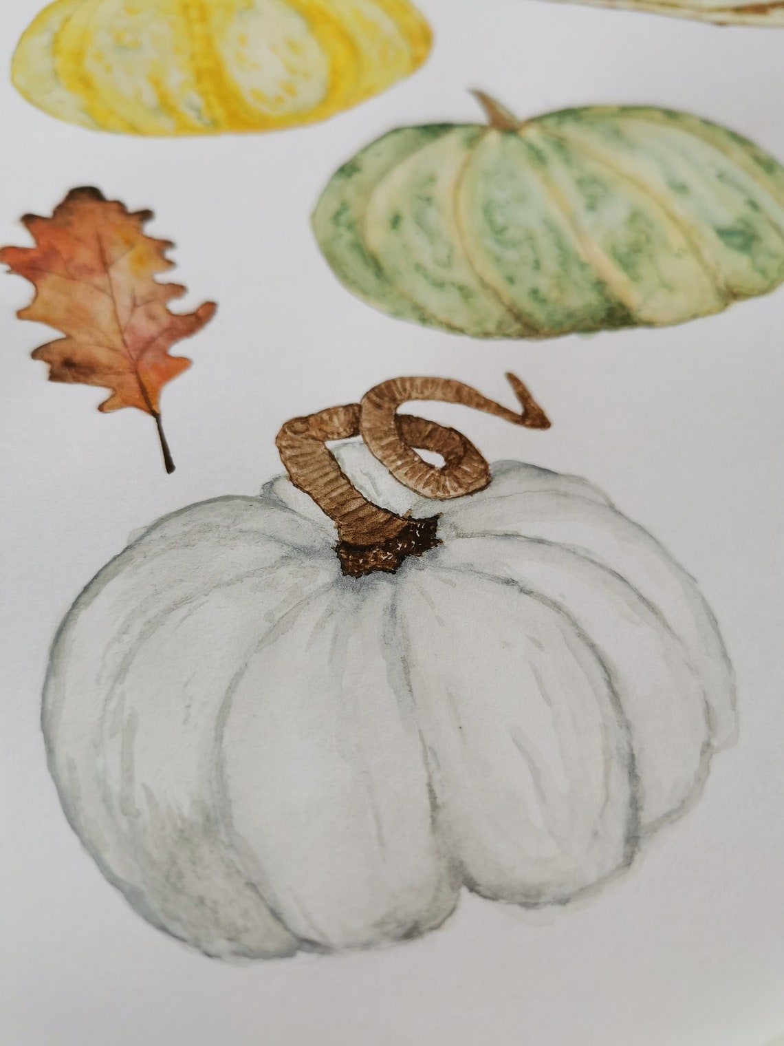 Autumn Squash Print Thanksgiving Art Fall Home Decor - Etsy