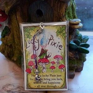 Lucky Pixie, Clipper Charm, Good Luck Charm - Etsy