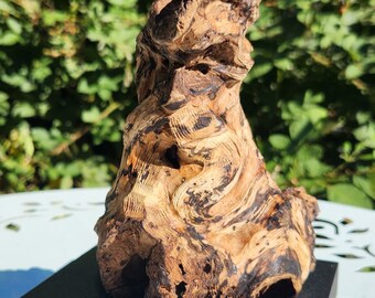 Gag Grouper Driftwood Carving - Etsy