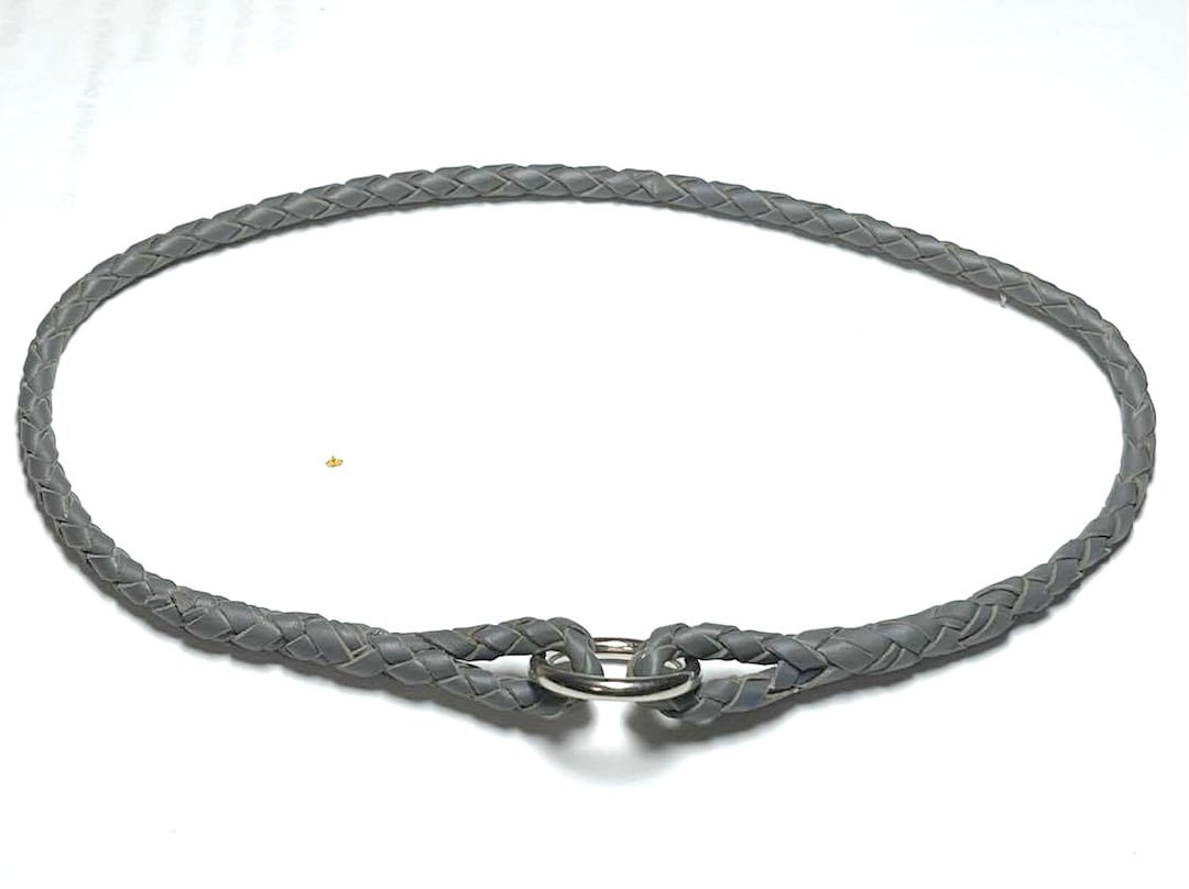 Kangaroo Braided Dog Tag, I/D Collar, Fixed Hound Collar - Etsy