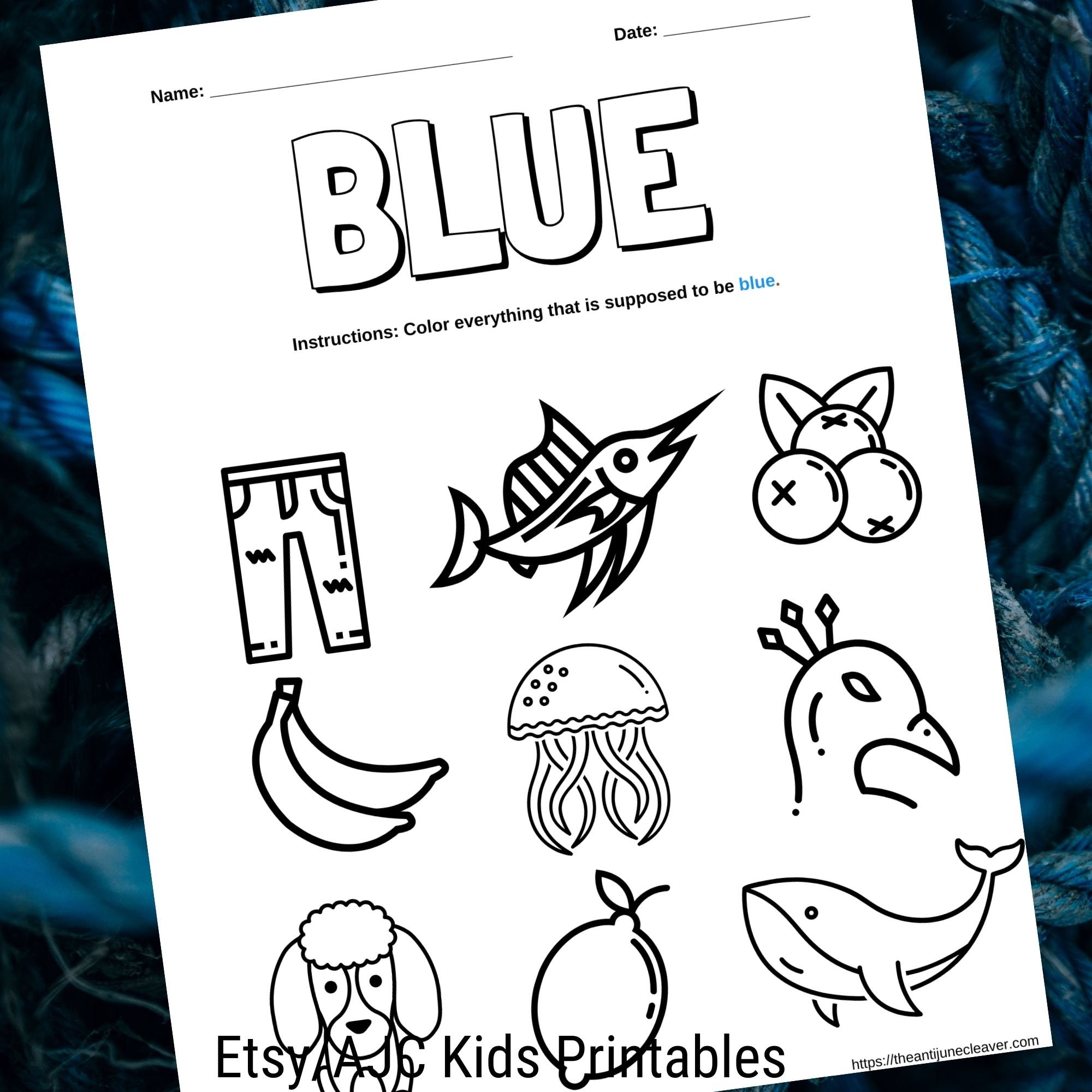 What Things Are Blue? - Learning Colors Flashcards (digital PDF ...