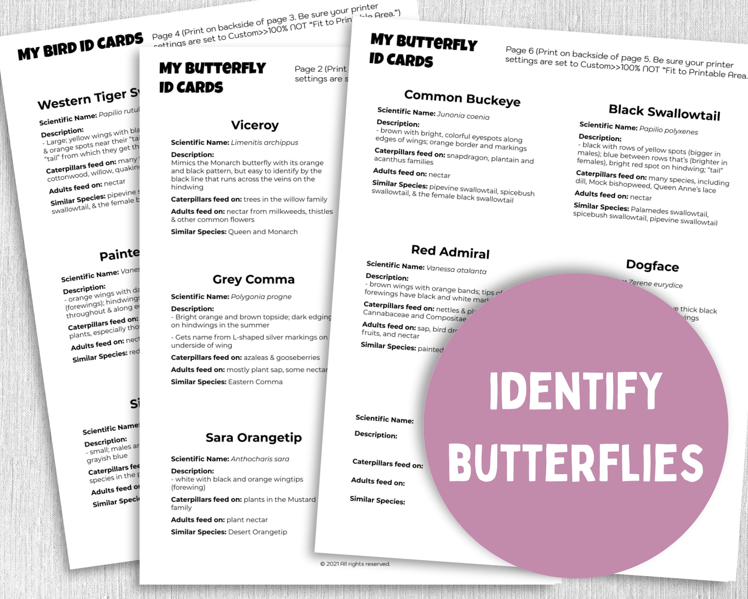 Butterfly Log Journal and ID Cards for Kids - Etsy