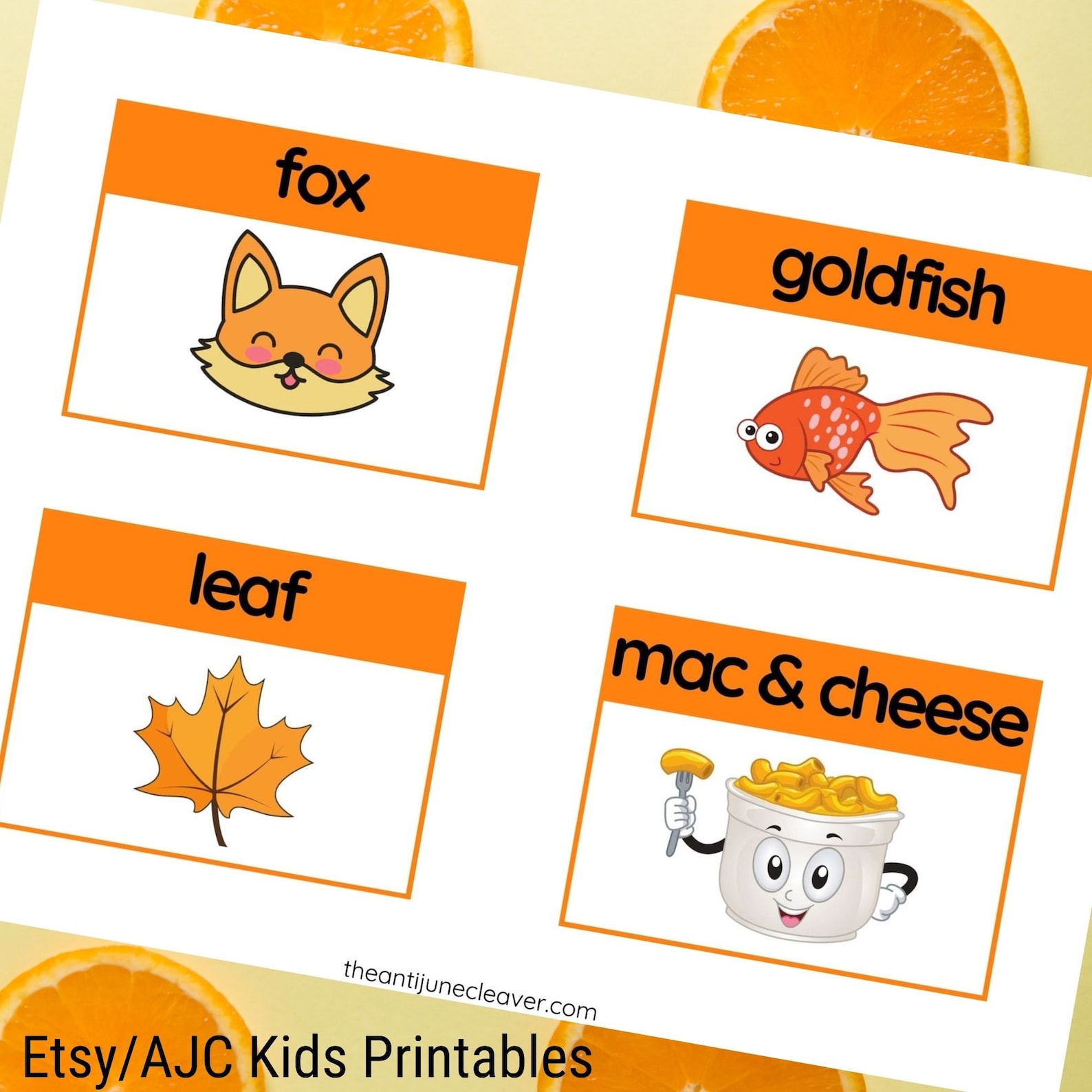 What Things Are Orange Set of 16 Orange Words Flashcards - Etsy